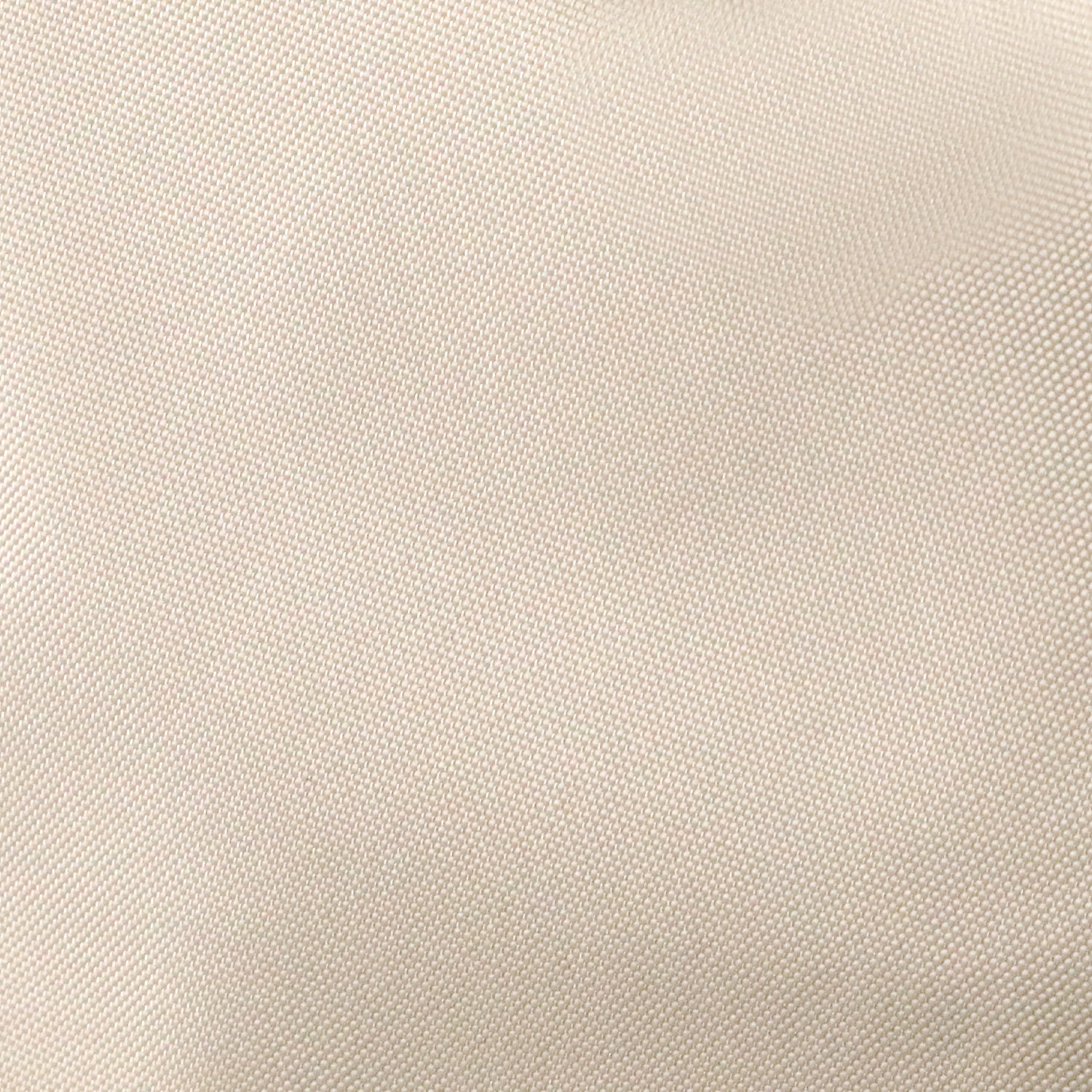 Macaroon Large Jungle II Series - Brown – Doughnut Philippines